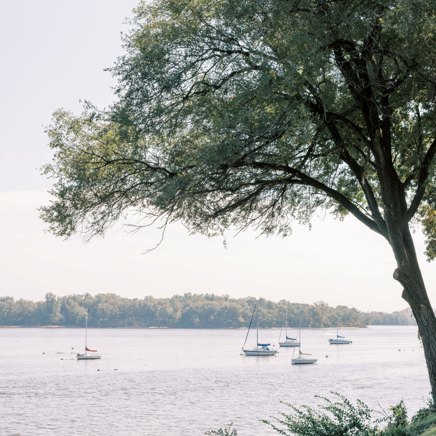 Glen Foerd – Cescaphe Wedding